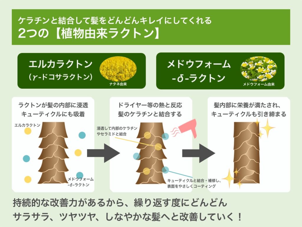 IDEALマスク〜髪質改善のためにつくられた超万能型集中ケアトリートメント〜｜美容室IDEAL高田馬場店（アイディール）